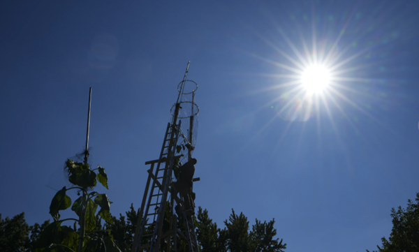 West Kentucky Star - News